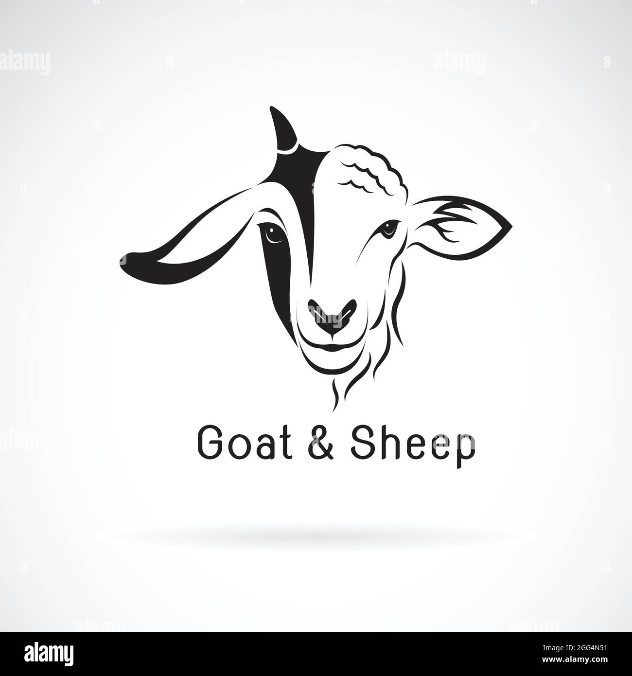 Vector of goat face and sheep face on a white background. Animals farm ...