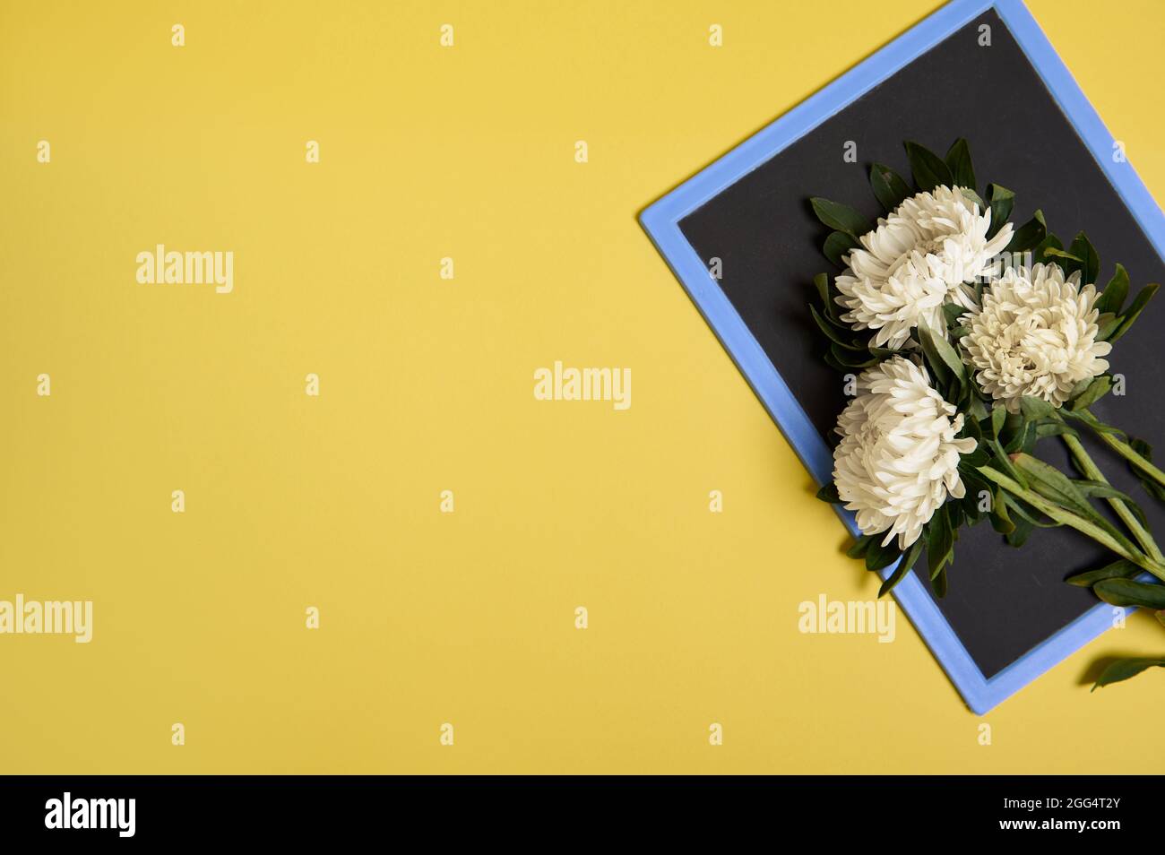 Flat lay of delicate beautiful stylish bouquet of asters autumn flowers ...