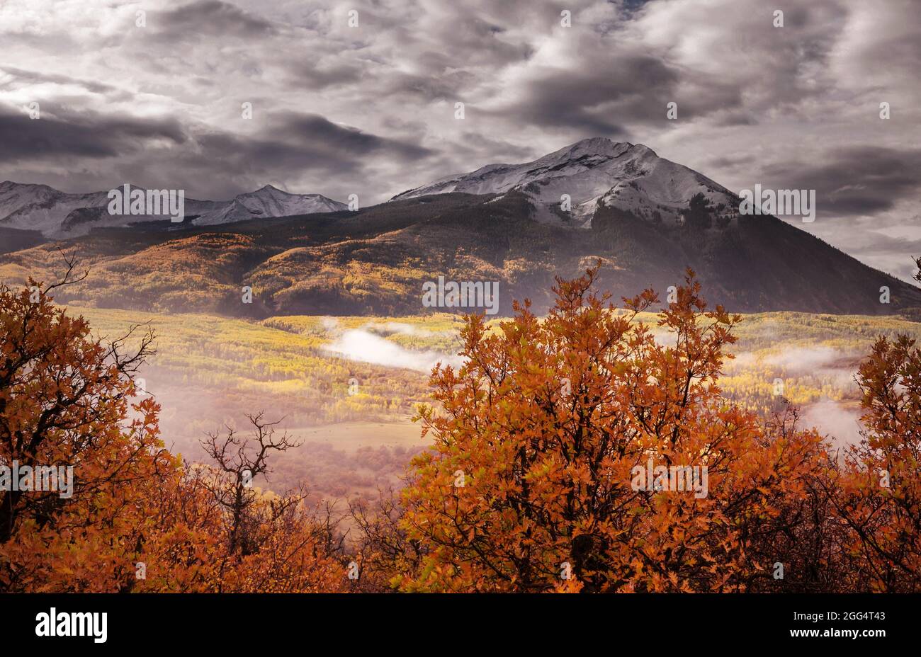 Colorful yellow autumn in Colorado, United States. Fall season Stock ...