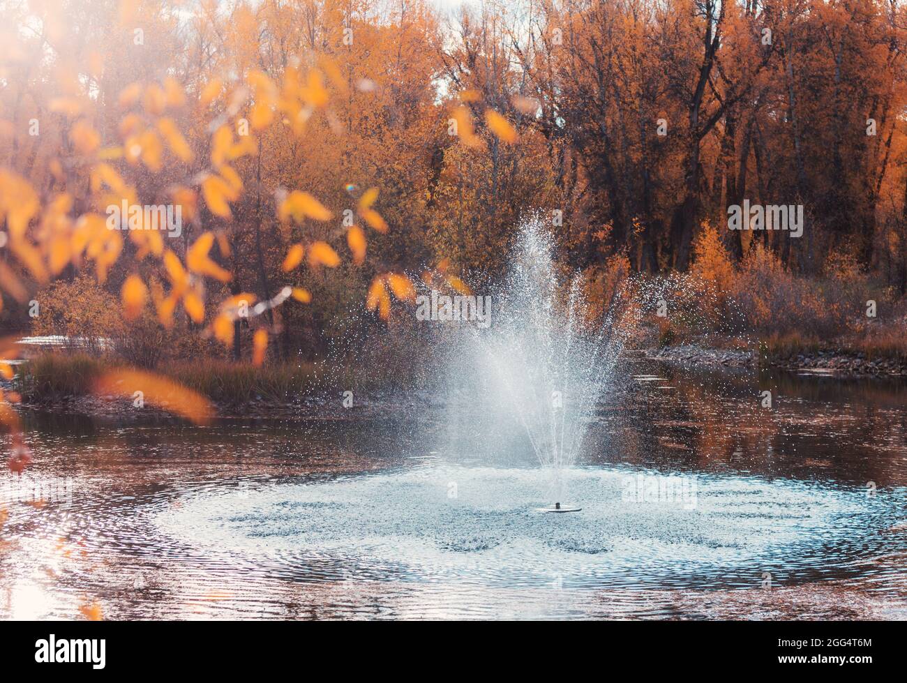 Woodland garden pond fountain hi-res stock photography and images - Alamy