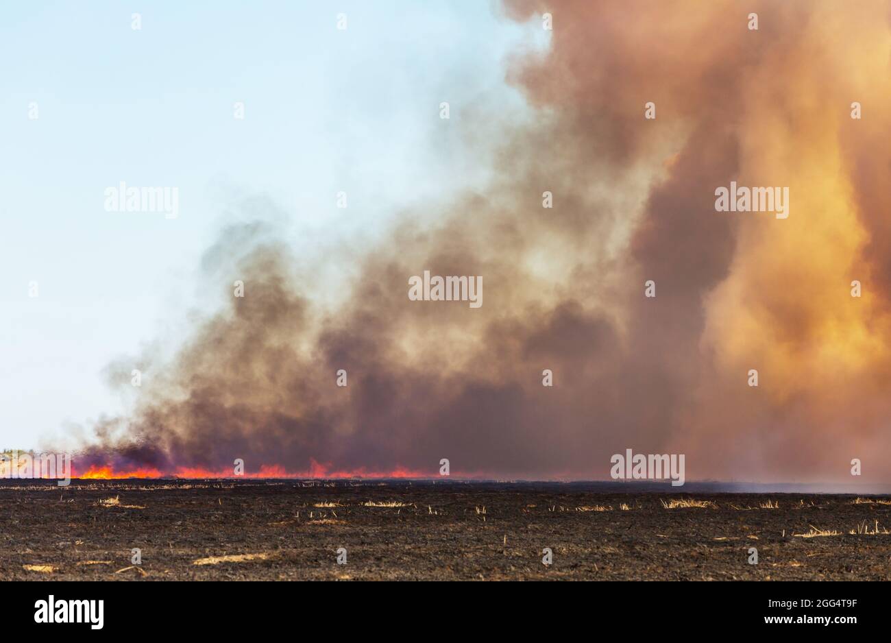 Burning flame in an agricultural field Stock Photo - Alamy