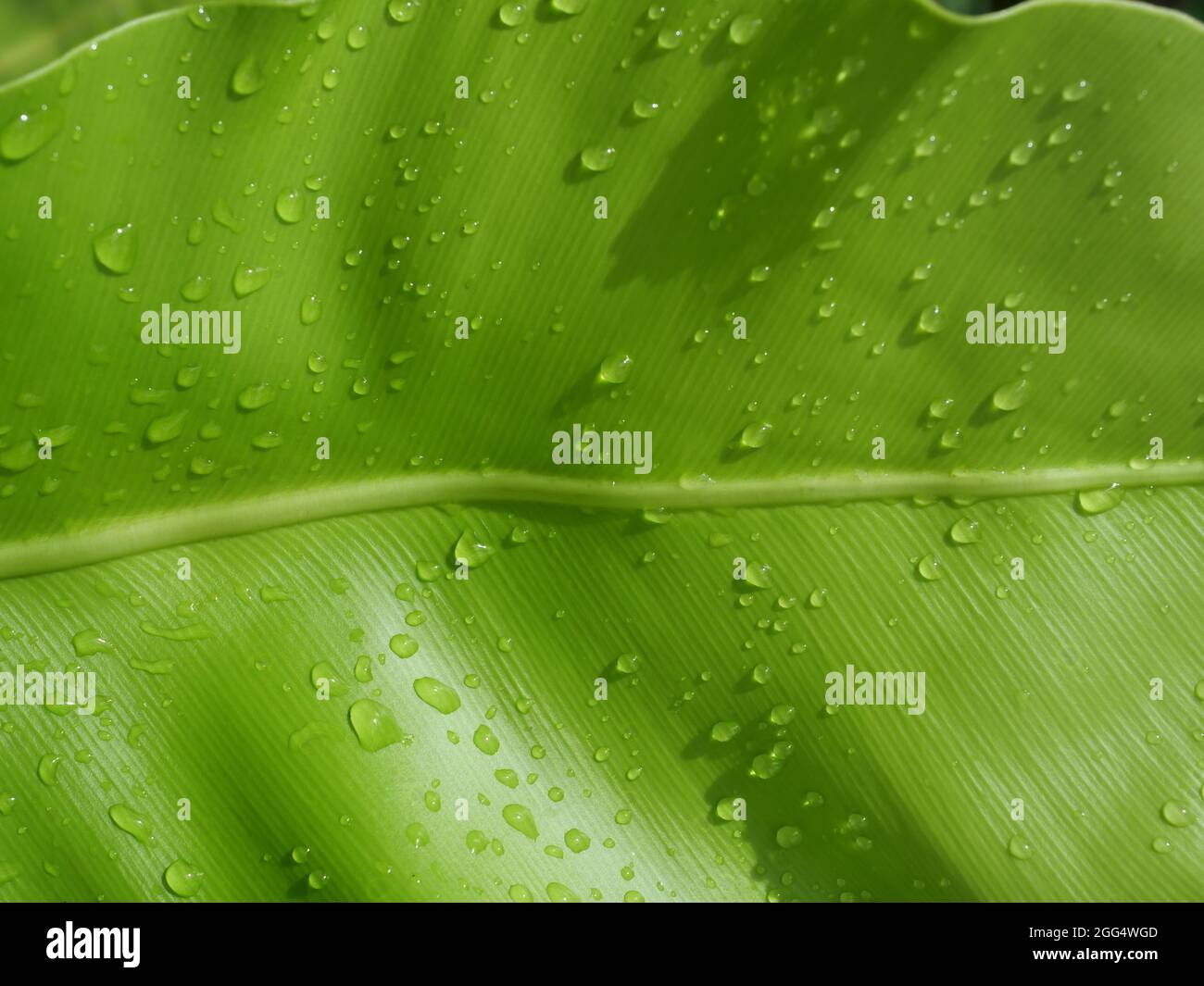 Concave surface hi-res stock photography and images - Alamy