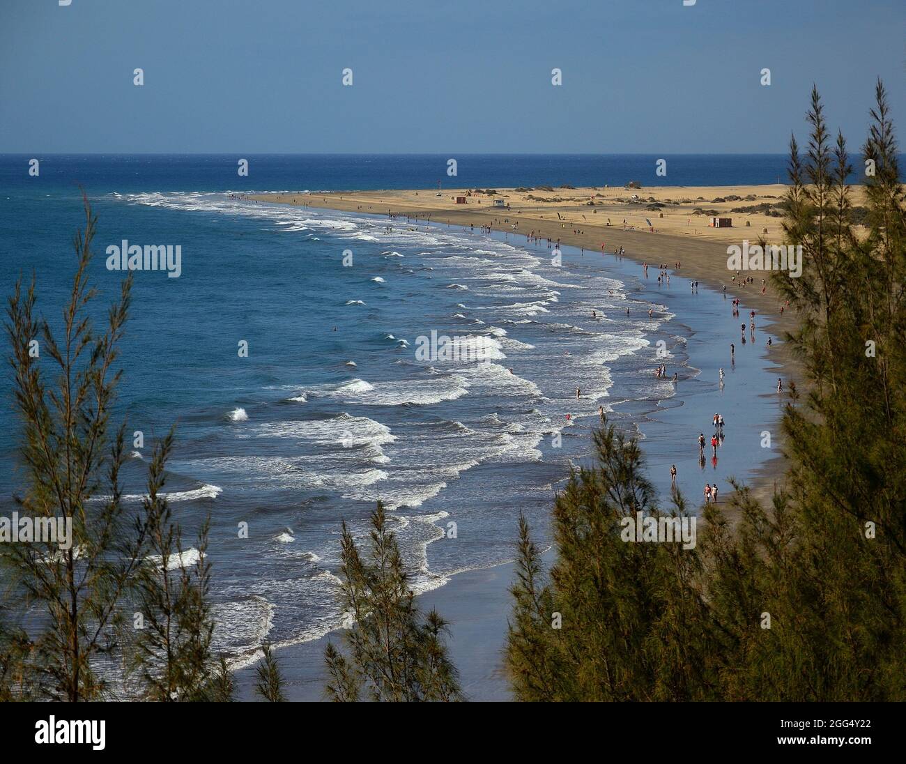 Trees in foreground and large sandy beach in the background, Playa del ...