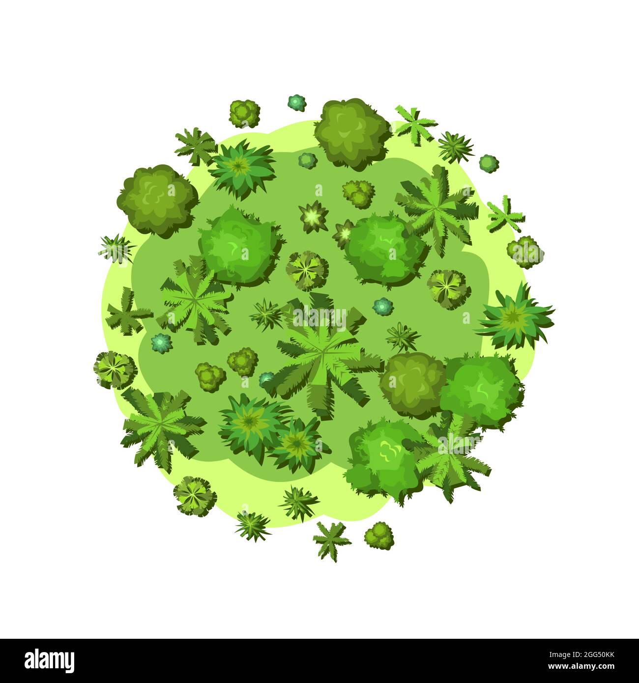 Small forest with height. Park with trees. View from above. Plant ...