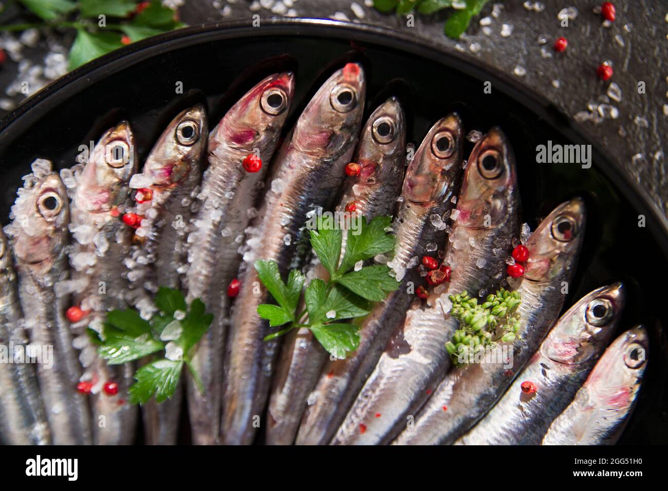 Presentation of a dish of raw anchovies on black background Stock Photo ...