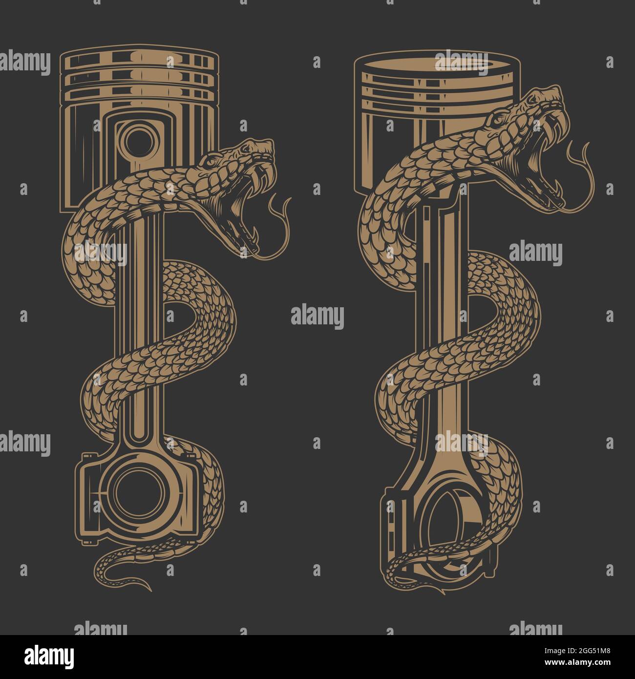 Snake car Stock Vector Images - Alamy