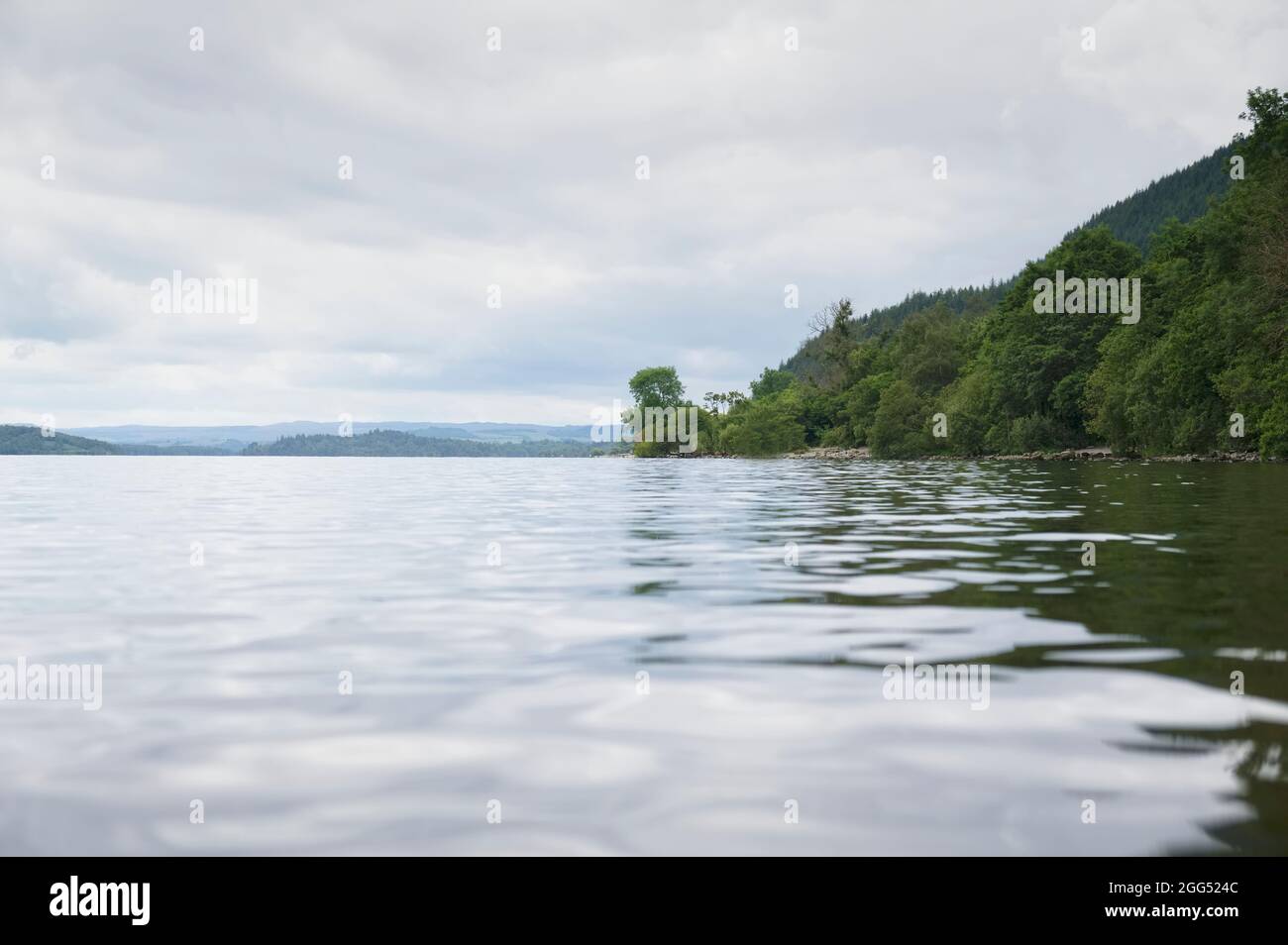 The shore of Culag beach on Loch Lomond Stock Photo - Alamy