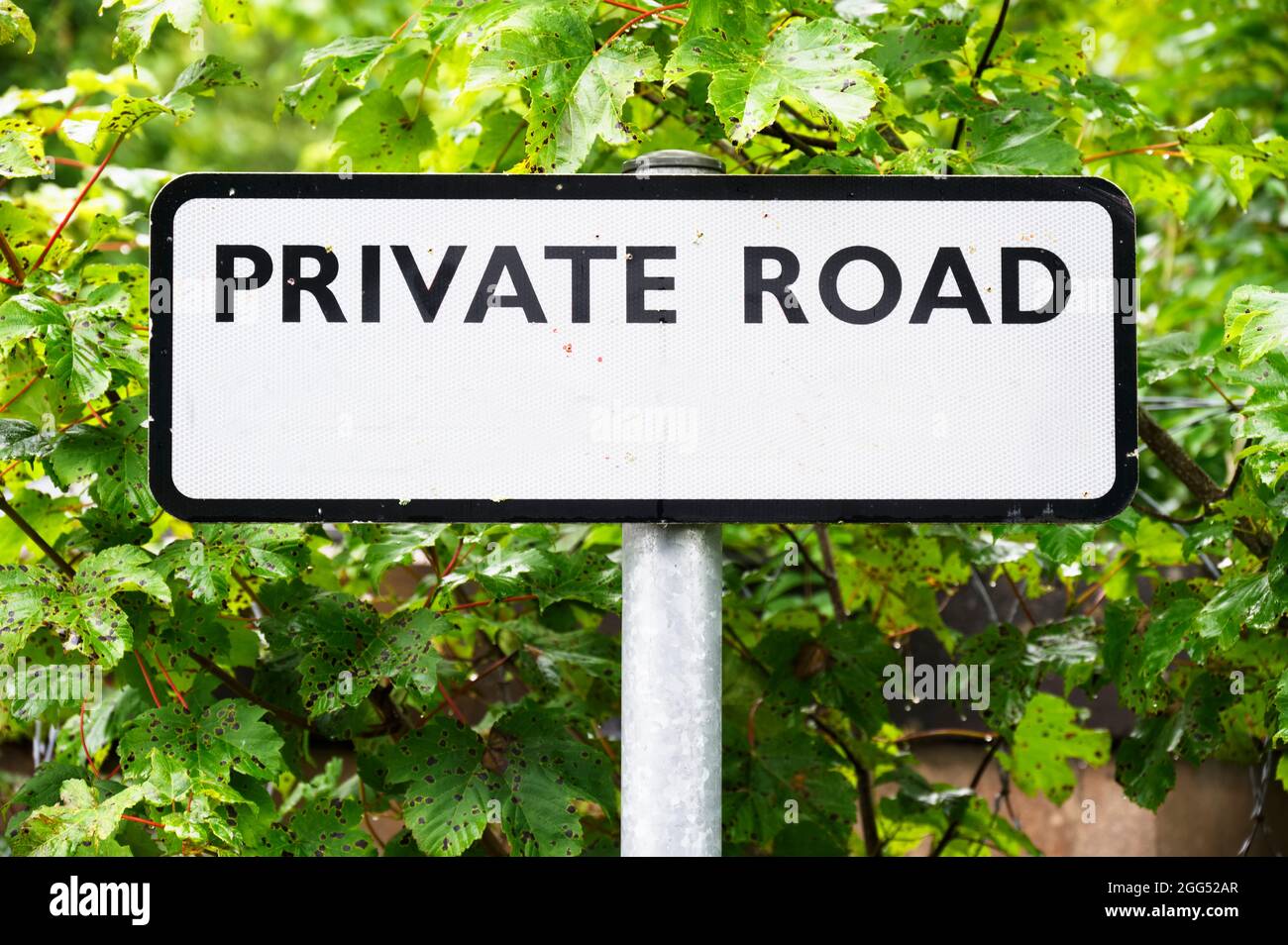 Direction display hi-res stock photography and images - Alamy