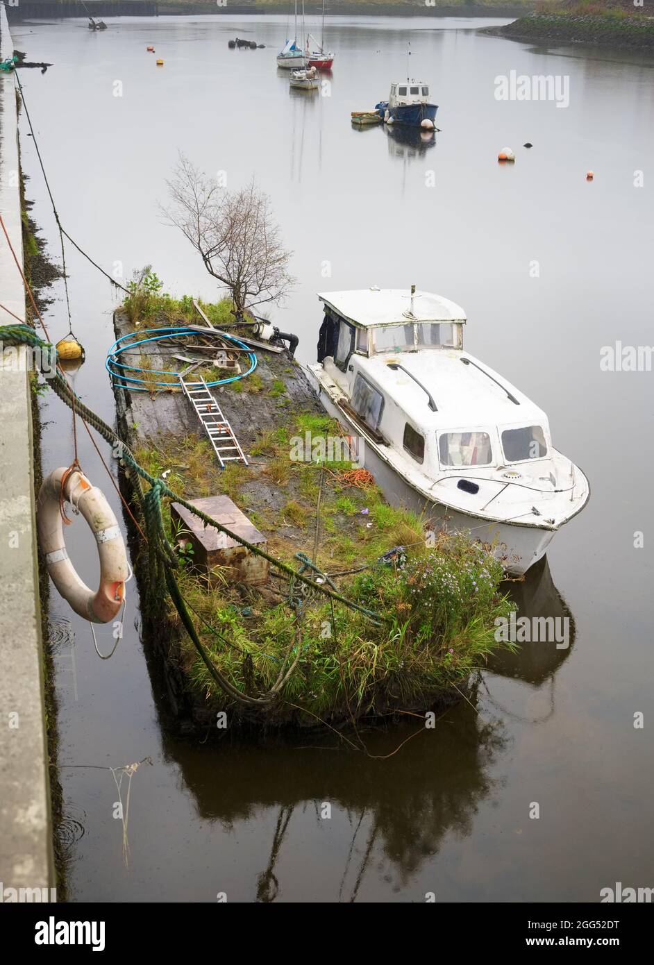 Old boats derelict on River Leven in Dumbarton Stock Photo - Alamy