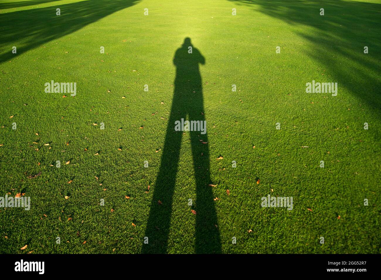 Photographing his own shadow in the late evening on a golf course Stock ...