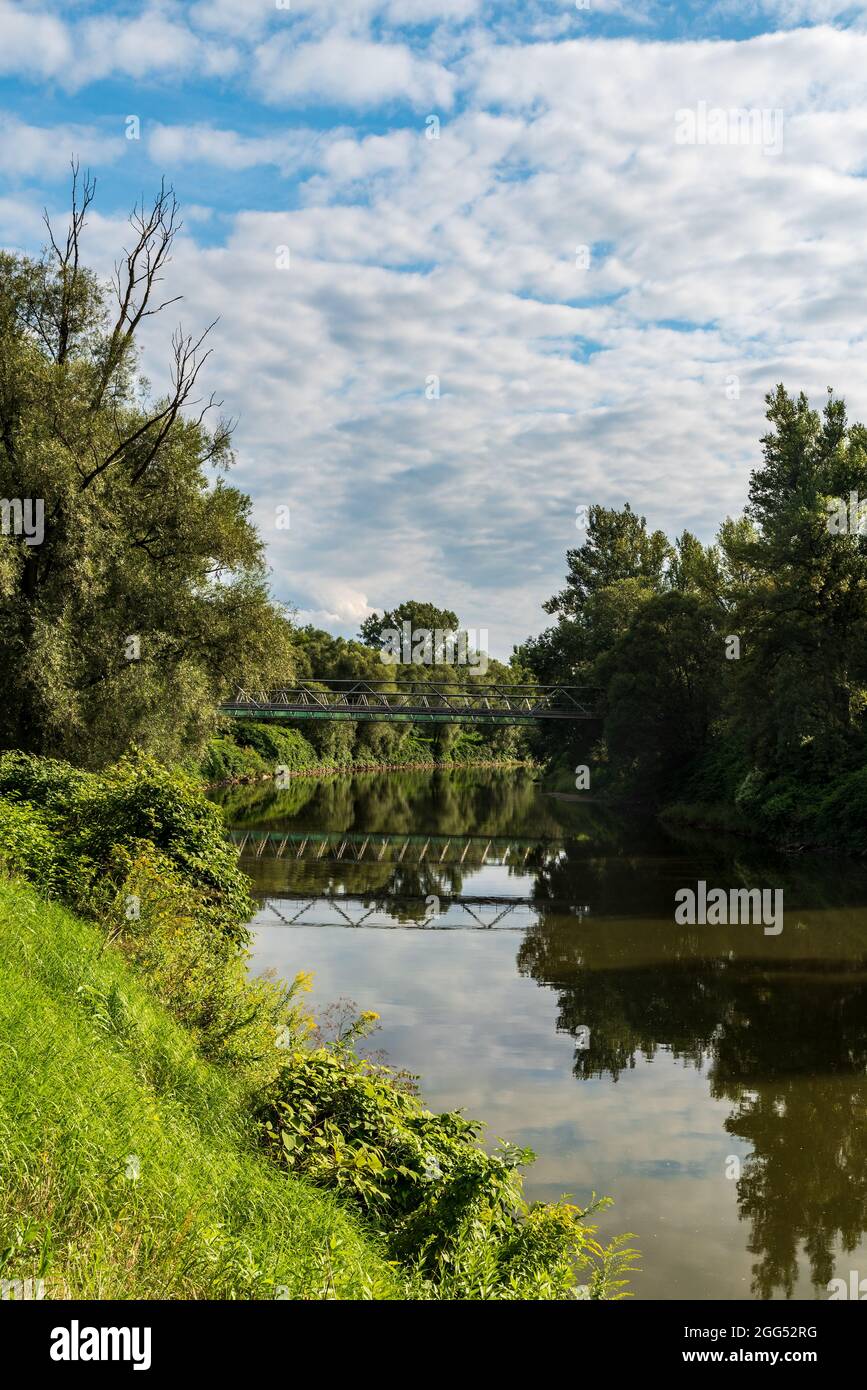 Odra river with trees around and Antosovicka lavka bridge in Czech ...