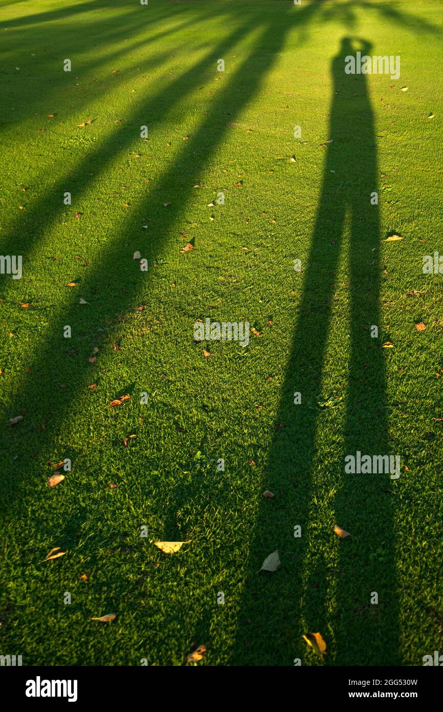 Photographing his own shadow in the late evening on a golf course Stock ...
