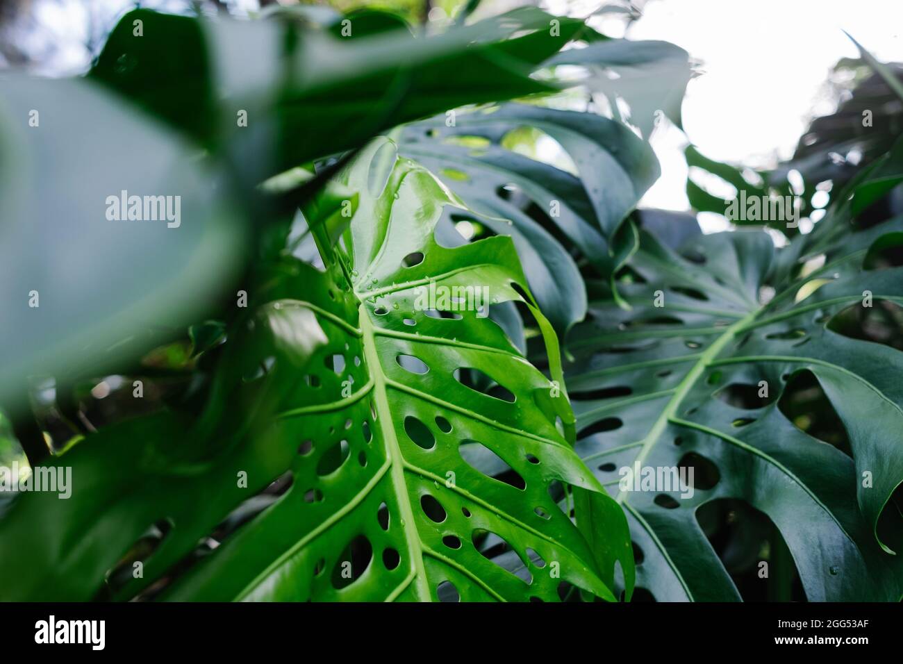 Fenestration High Resolution Stock Photography and Images - Alamy