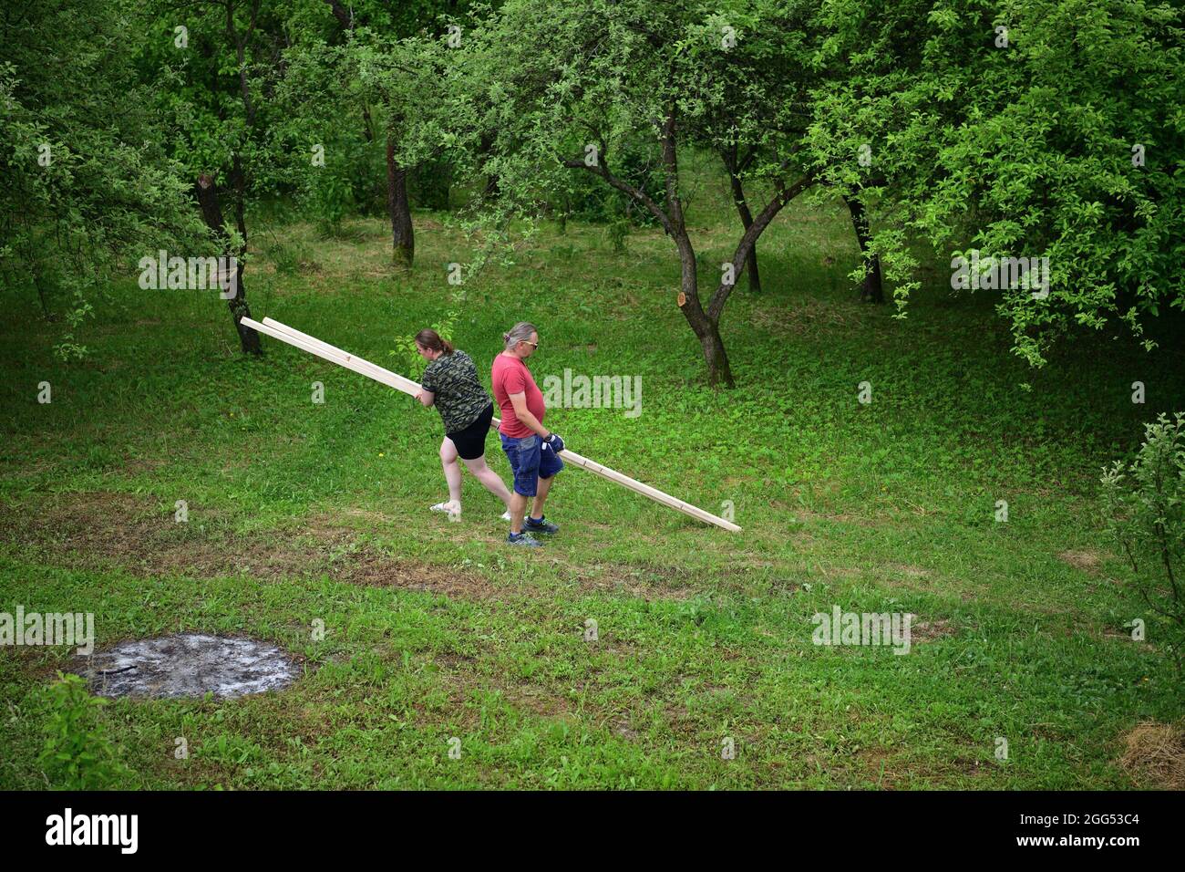 People carry wood in the garden with trees near the cottage Stock Photo ...