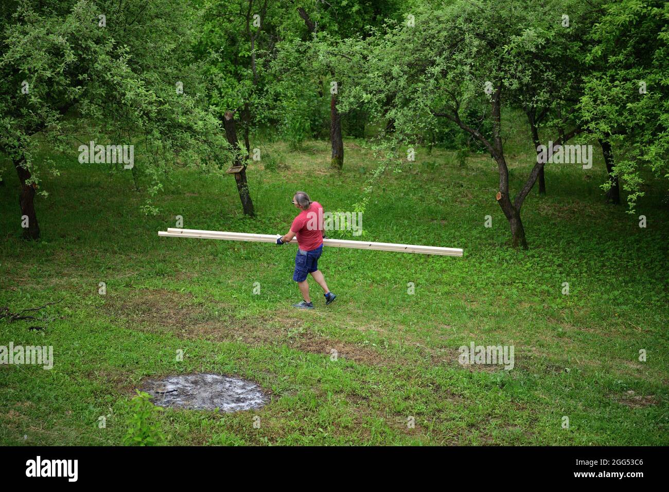People carry wood in the garden with trees near the cottage Stock Photo ...