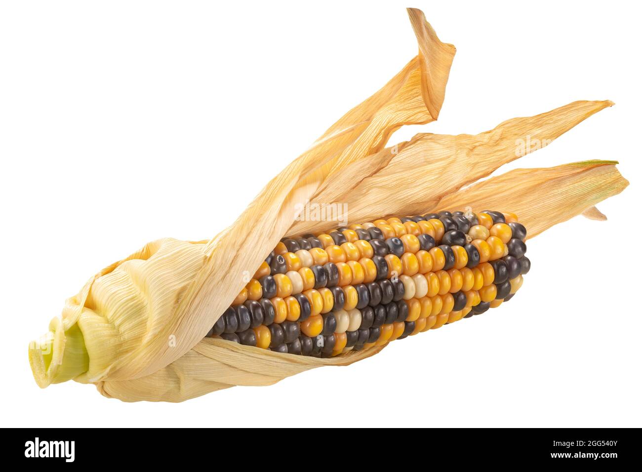 Heirloom corn hi-res stock photography and images - Alamy