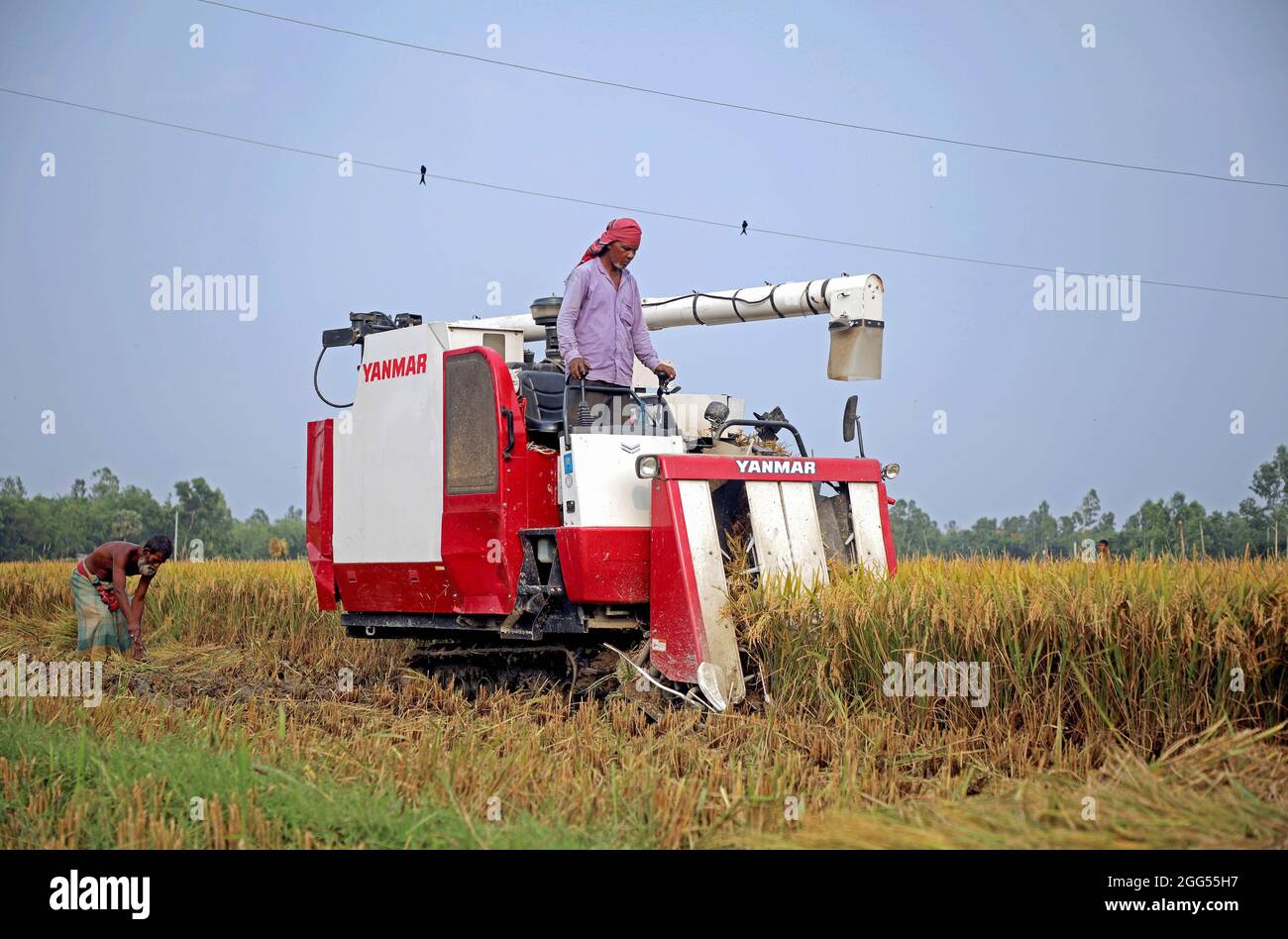 Rice Harvester Machine