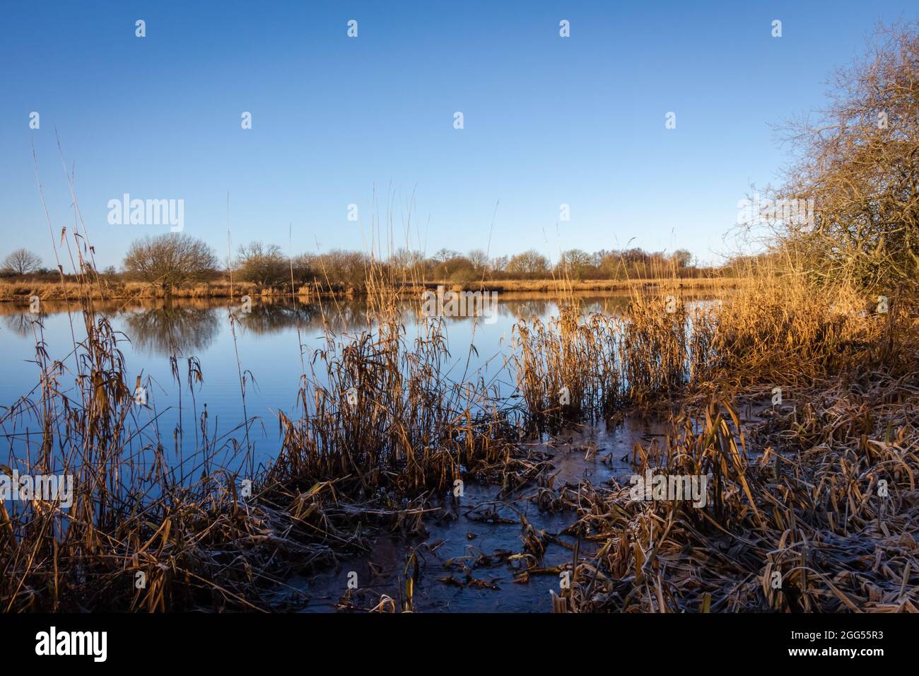 A flooded River Dee at Threave Castle, the has burst its banks during a ...