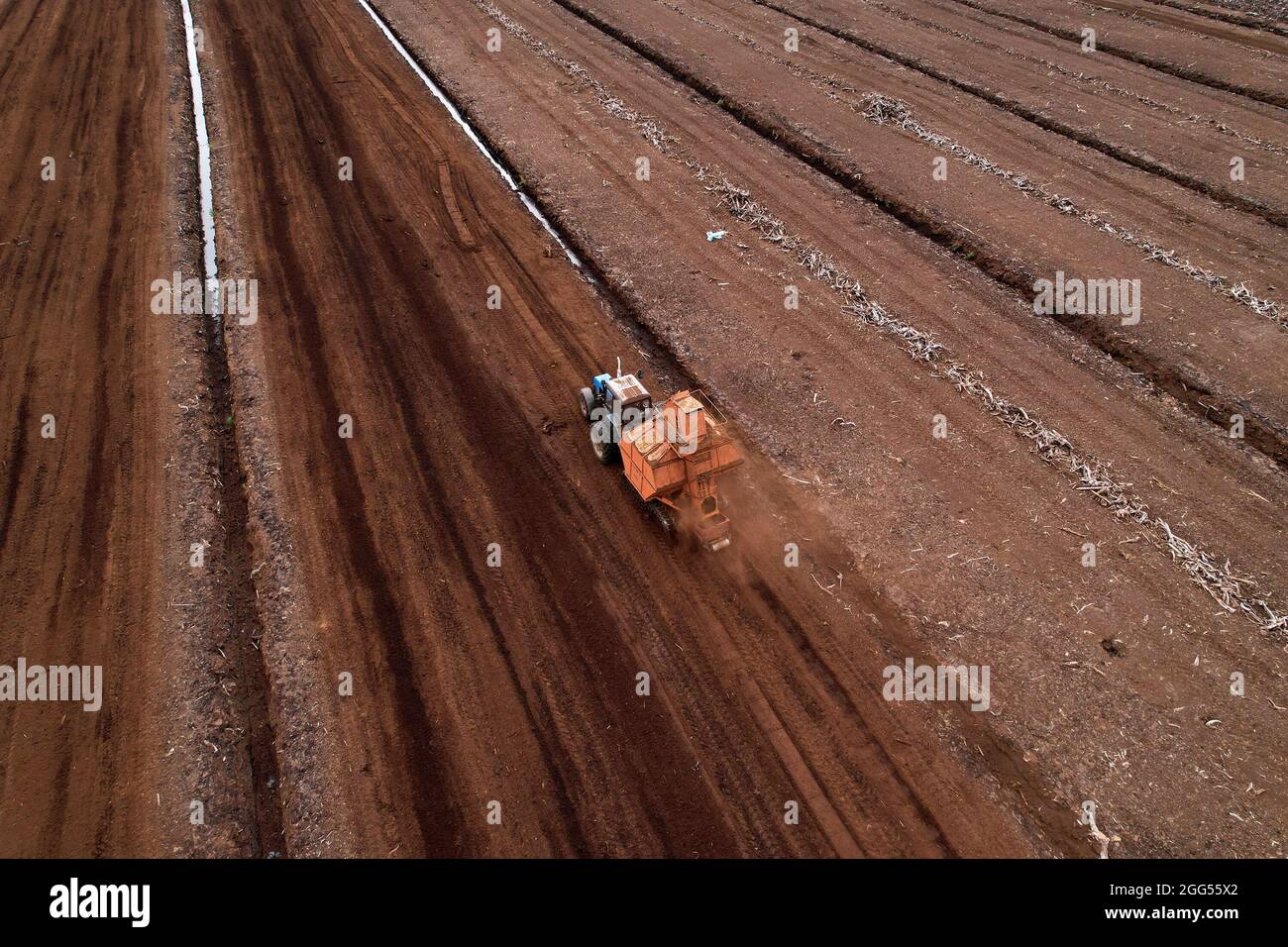 Peat Harvester Tractor on Collecting Extracting Peat. Mining and ...
