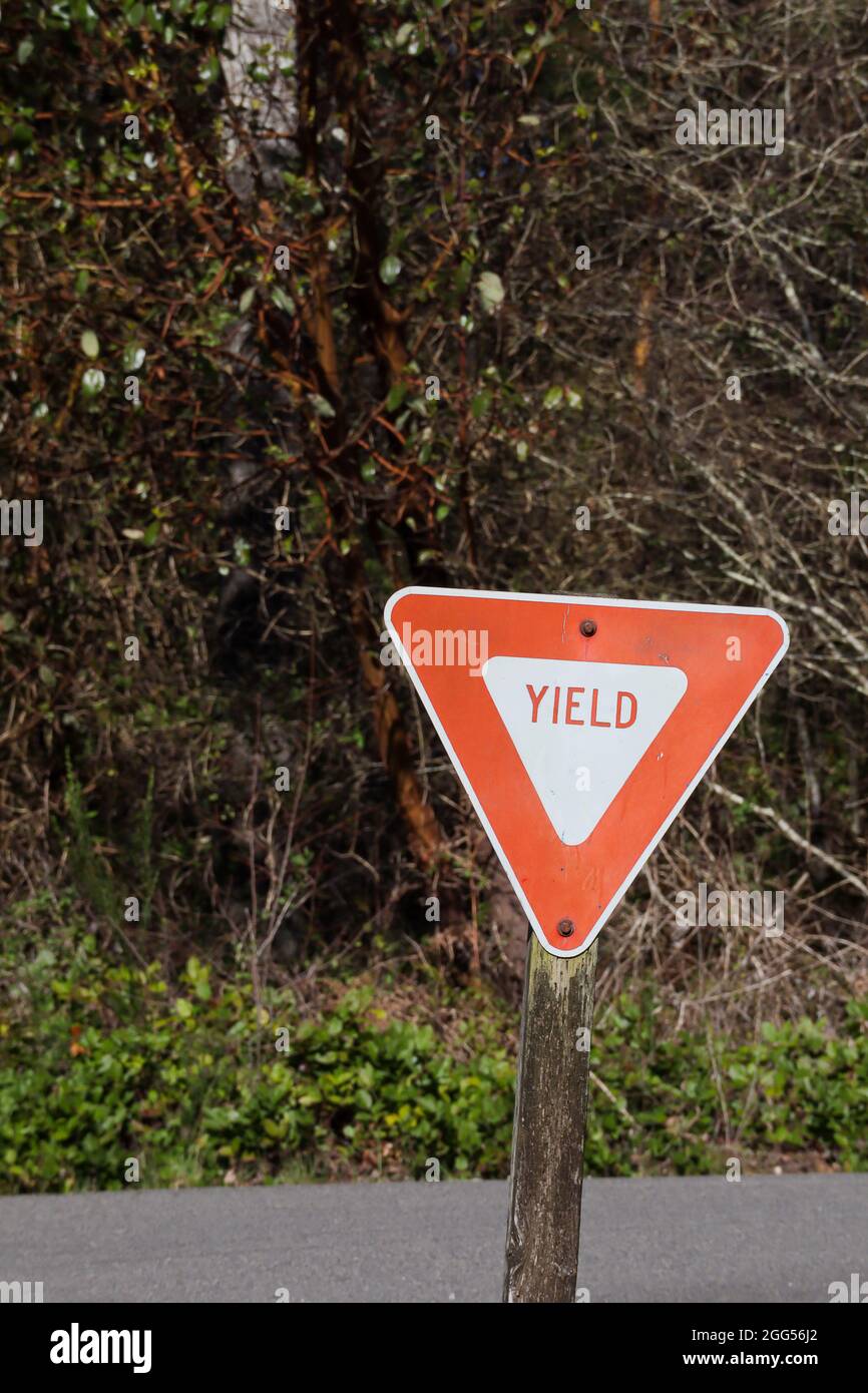 American Traffic Sign Of Upside Down Red And White Triangle To Yield american-traffic-sign-of-upside-down-red-and-white-triangle-to-yield