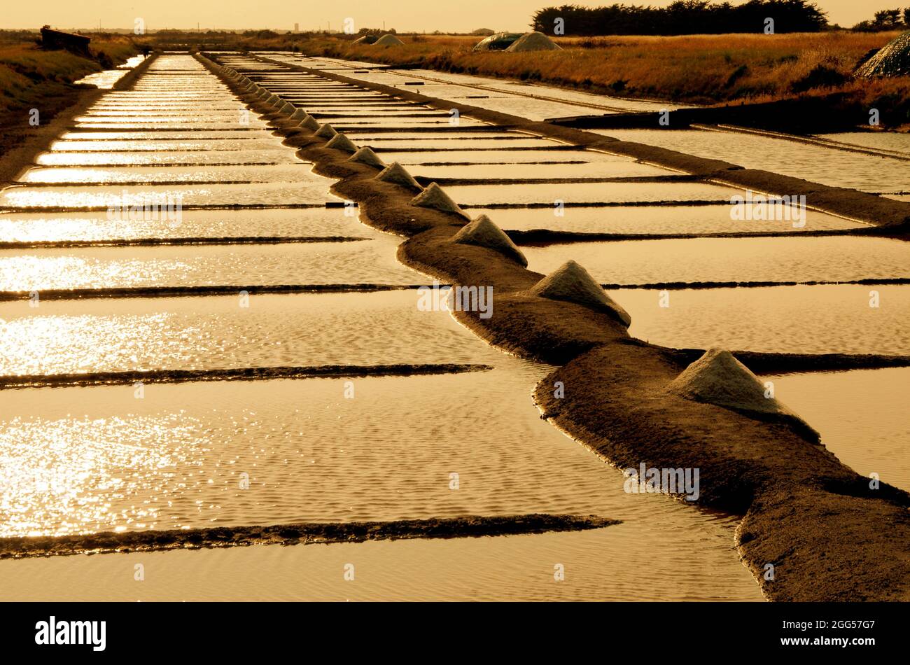 Loix village hi-res stock photography and images - Alamy