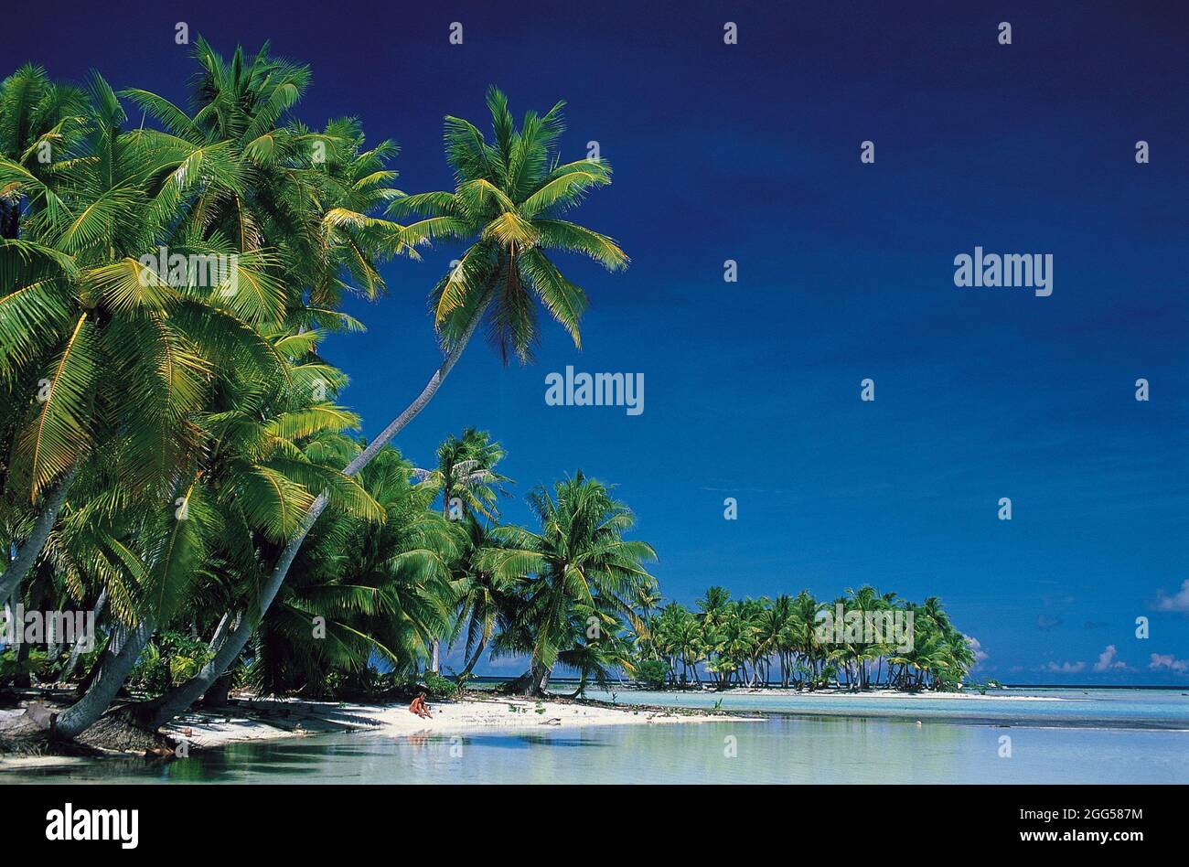 FRENCH POLYNESIA. TUAMOTU ARCHIPELAGO. RANGIROA ATOLL Stock Photo - Alamy