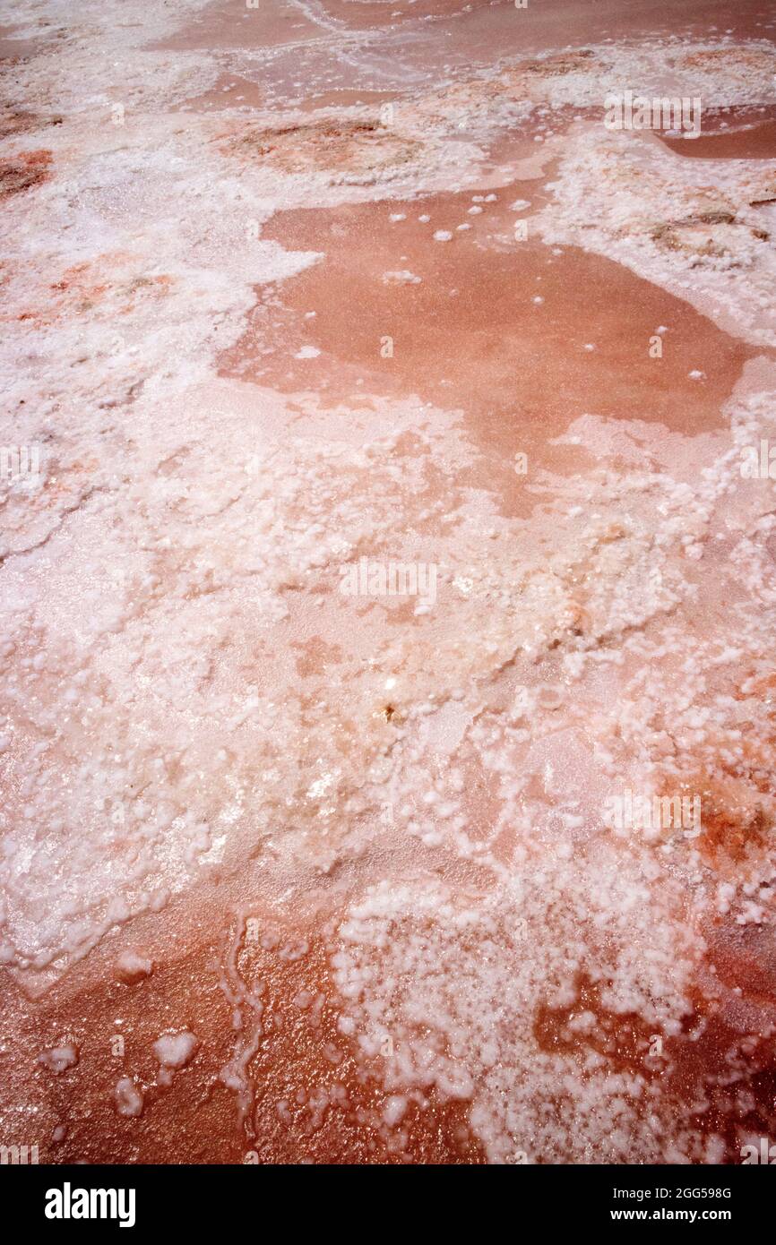 The salt color in salt water at Santa Margherita di Savoia Puglia Italy ...