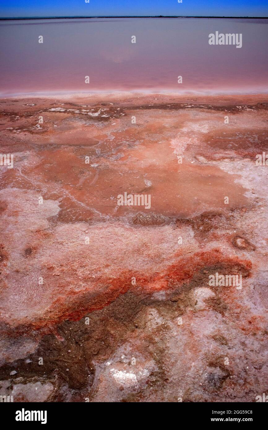 The salt color in salt water at Santa Margherita di Savoia Puglia Italy ...