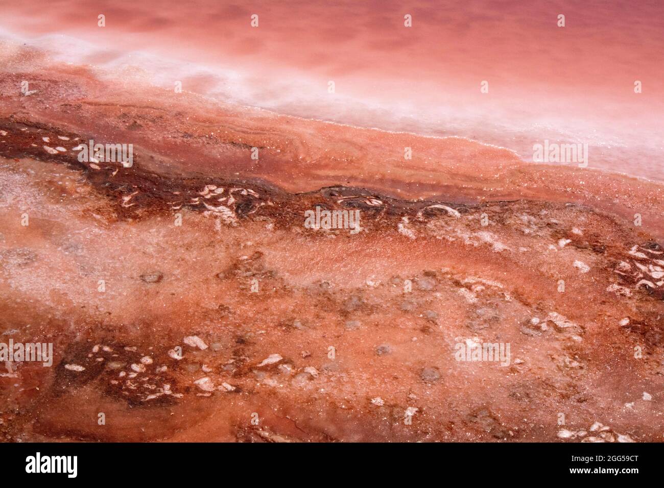 The salt color in salt water at Santa Margherita di Savoia Puglia Italy ...