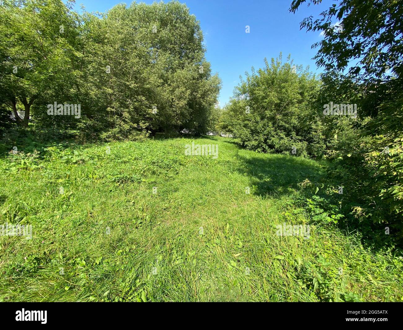 summer in city park at dry sunny day Stock Photo - Alamy