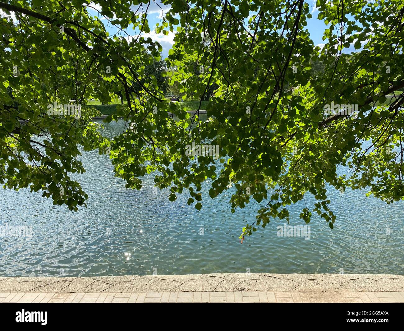 summer in city park at dry sunny day Stock Photo - Alamy