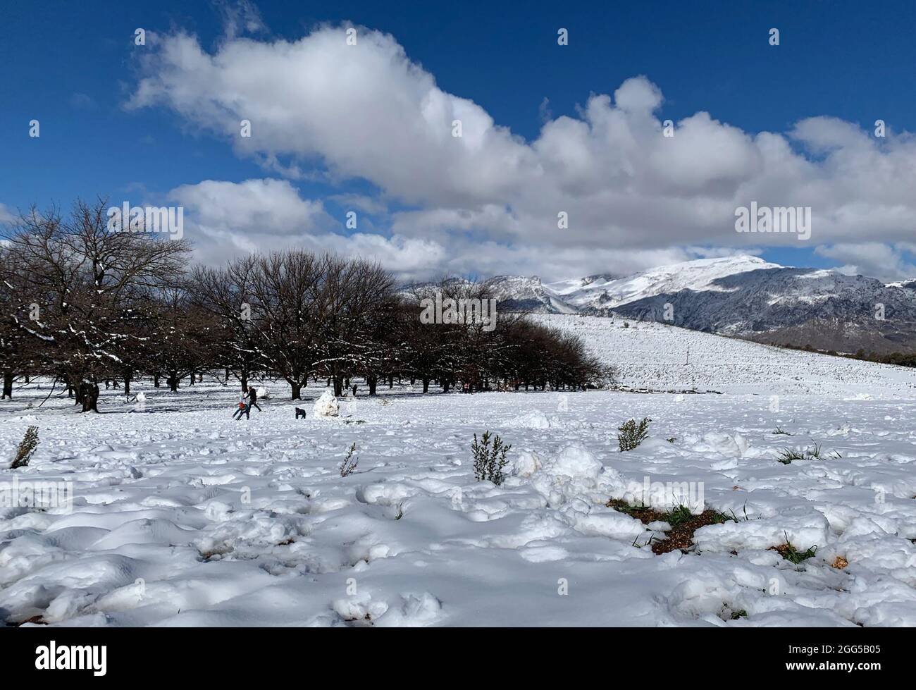 Ceres, South Africa. 29th Aug, 2021. A blanket of snow has formed near ...