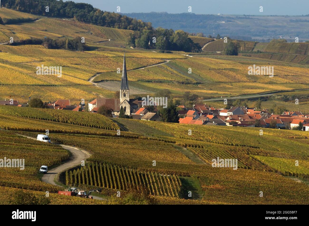 FRANCE. GRAND-EST. MARNE (51) MONTAGNE-DE-REIMS NATURE PARK. THE ...