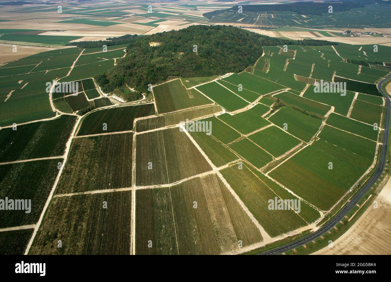 FRANCE. MARNE (51) THE MARNE VALLEY. AERIAL VIEW OF THE VINEYARD OF ...