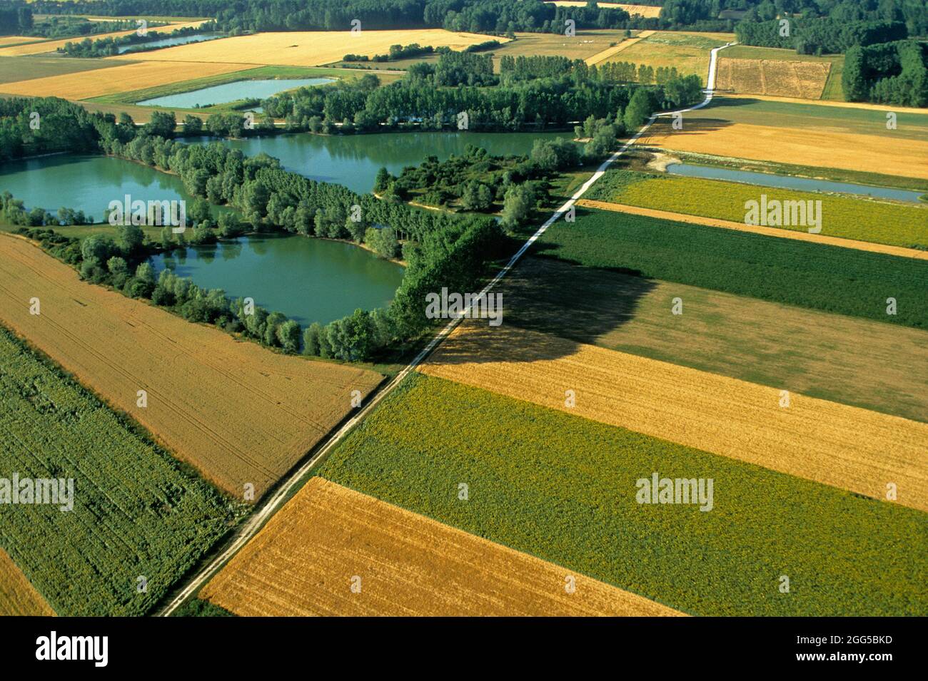 FRANCE. GRAND-EST. MARNE (51) THE MARNE VALLEY. CULTIVATION FIELD AND ...
