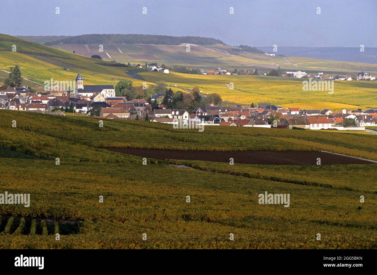 FRANCE. FRANCE. MARNE (51) THE ROAD OF CHAMPAGNE. VINEYARDS OF COTE DES ...