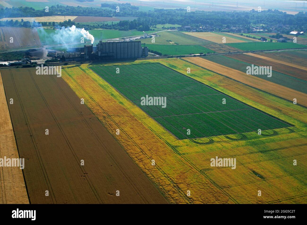 Dessiccation hi-res stock photography and images - Alamy