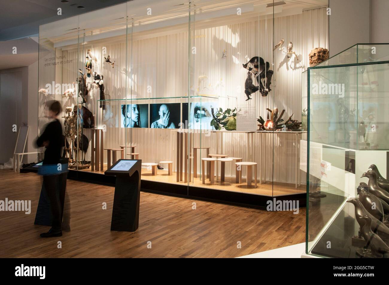 FRANCE. PARIS (75) THE "MUSEE DE L'HOMME" (MUSEUM OF MAN), ONE OF THE ...