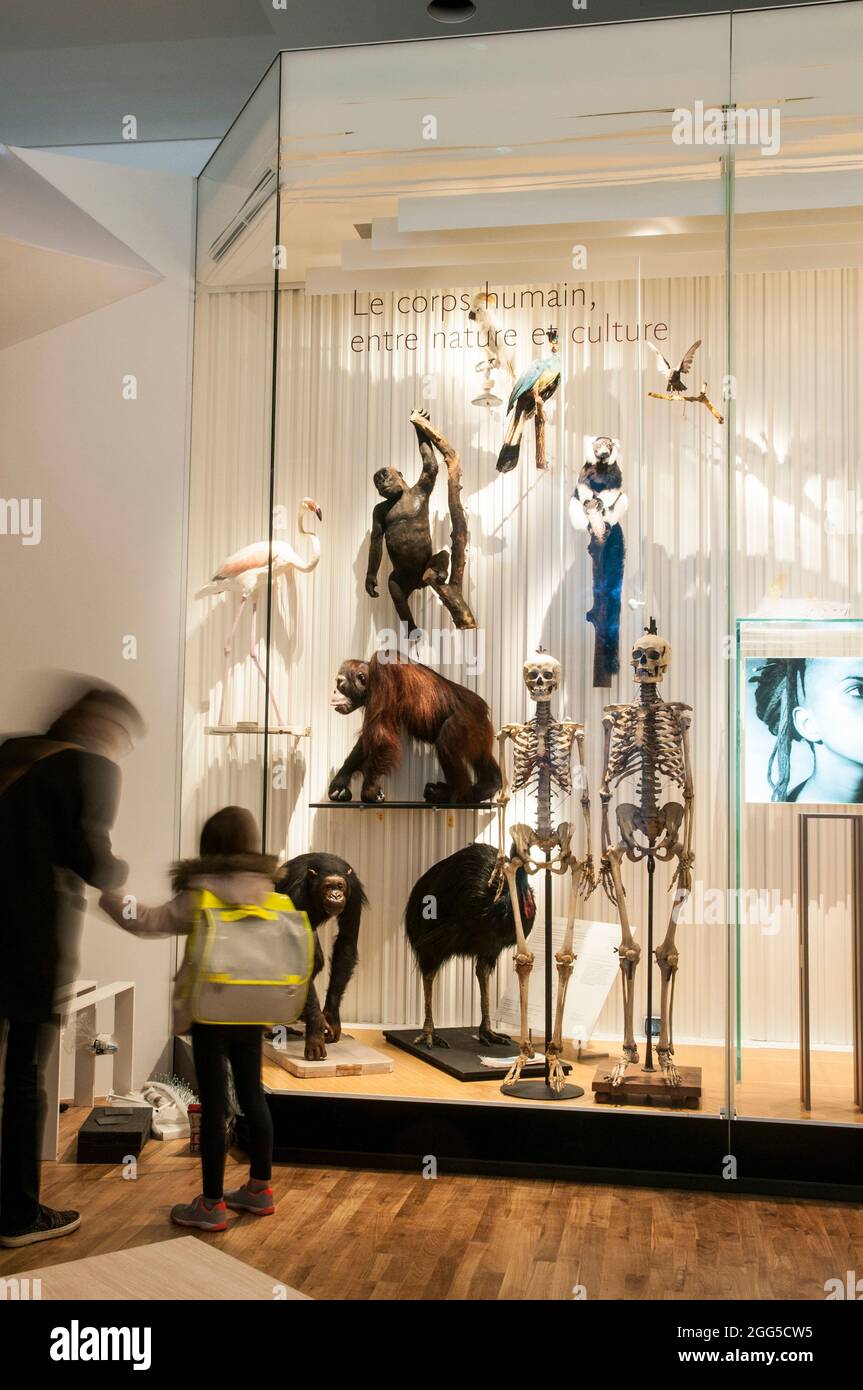 FRANCE. PARIS (75) THE "MUSEE DE L'HOMME" (MUSEUM OF MAN), ONE OF THE ...