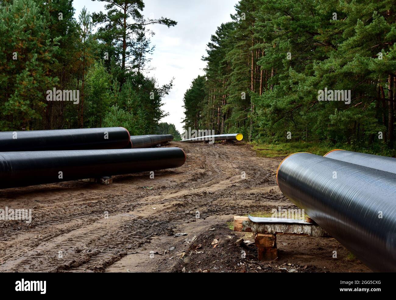 Natural Gas Pipeline Construction. Laying oil pipe in a trench in the ...