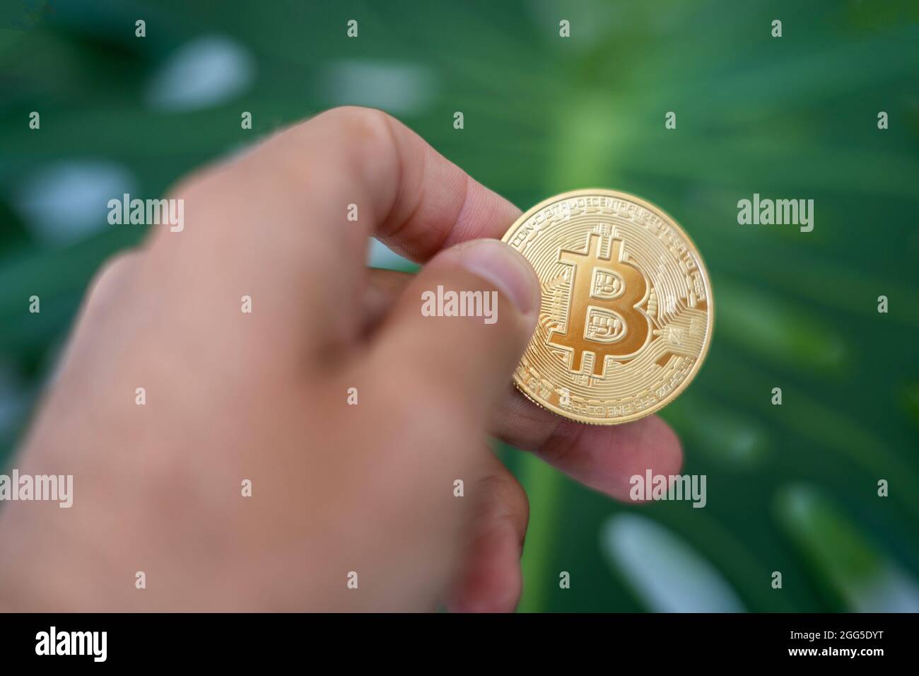 Technology assets hi-res stock photography and images - Alamy