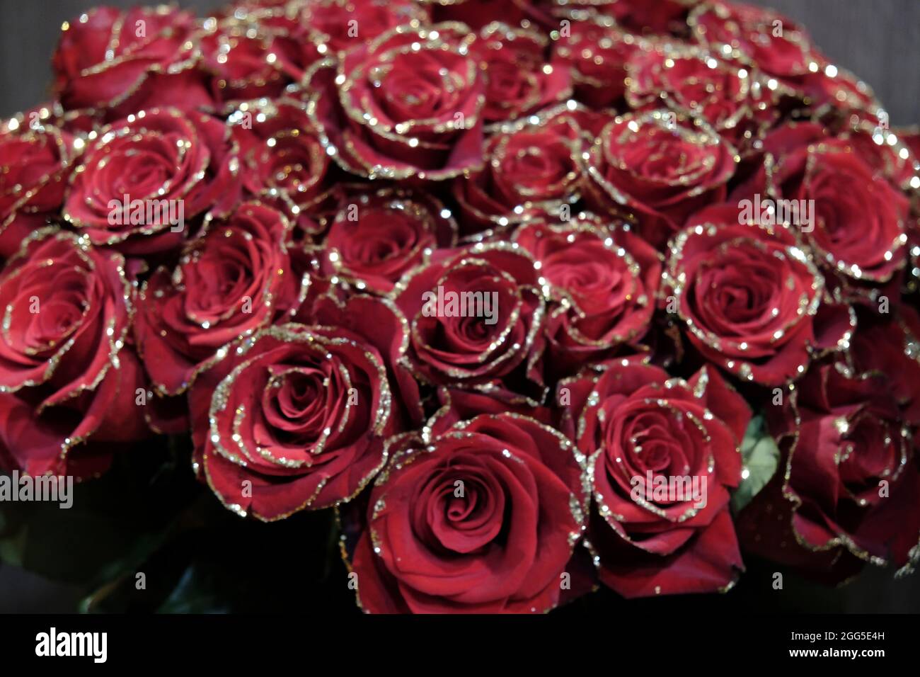 Red rose pic hi-res stock photography and images - Alamy