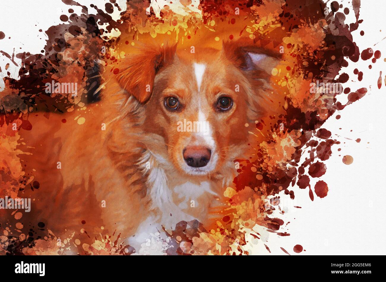 Red Dog Painting