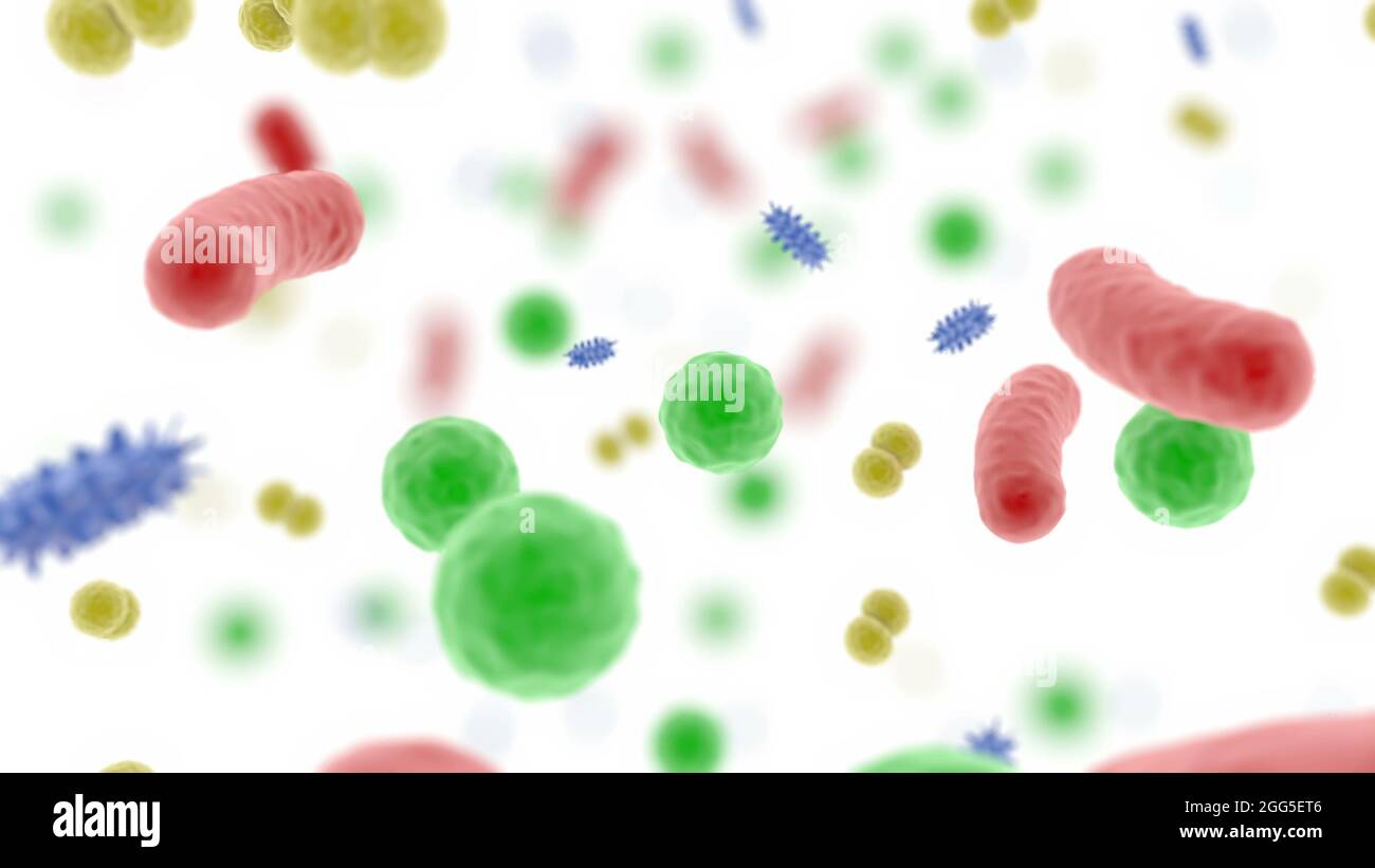 Body microbiome Medical Healthy food Human health 3d render Stock Photo ...
