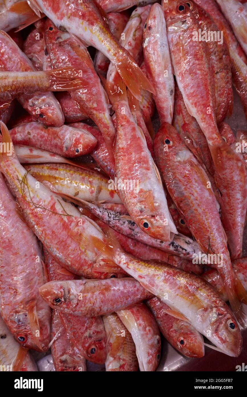 Ciutadella fish market menorca hi-res stock photography and images - Alamy