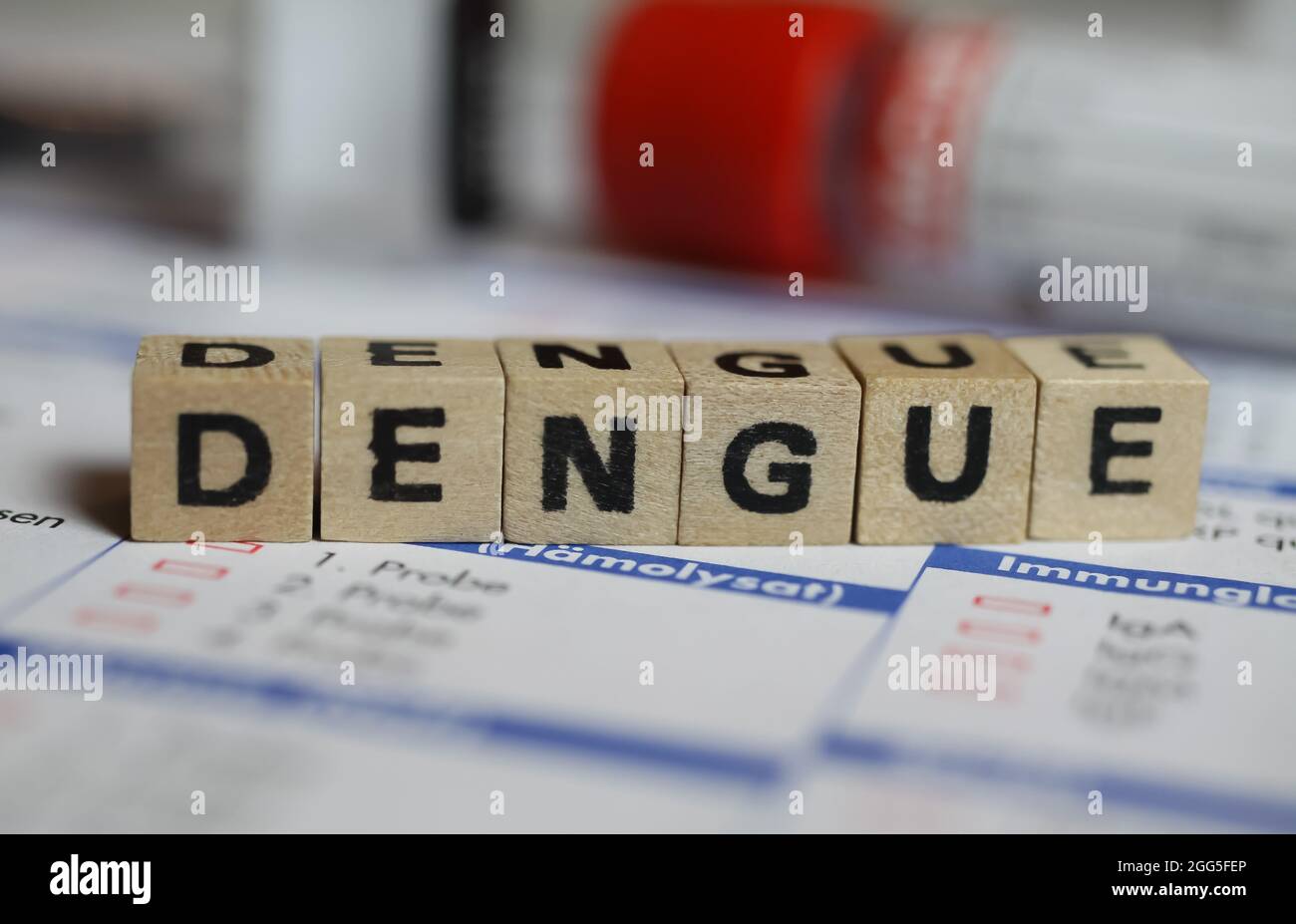 Viersen, Germany - June 1. 2021: Closeup of word dengue on laboratory ...