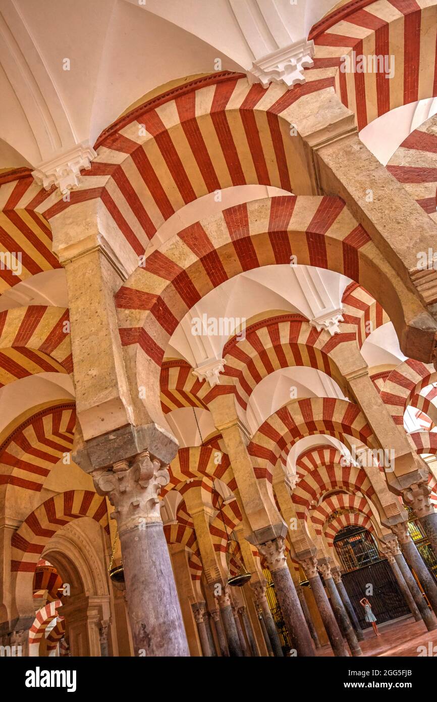 The columns and arches of the Mosque–Cathedral of Córdoba, Andalusia ...
