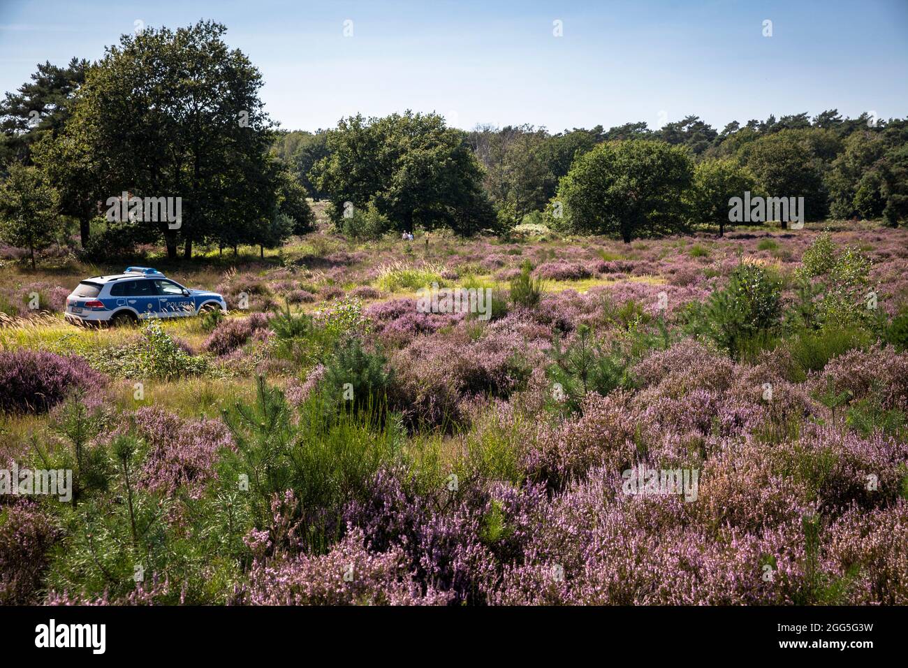 Driving lesson in germany hi-res stock photography and images - Alamy