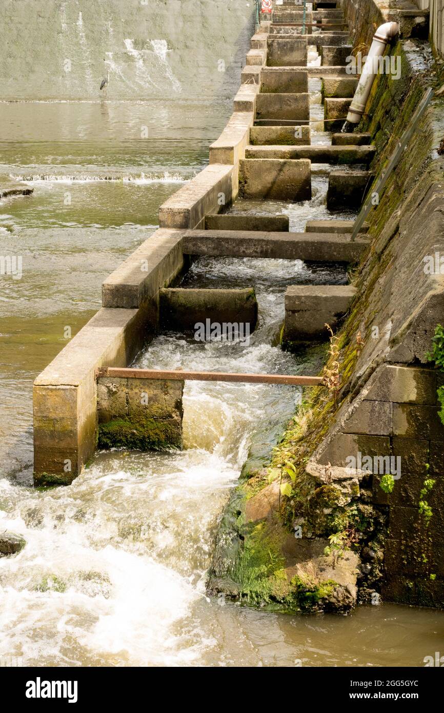 Fish ladder hi-res stock photography and images - Alamy