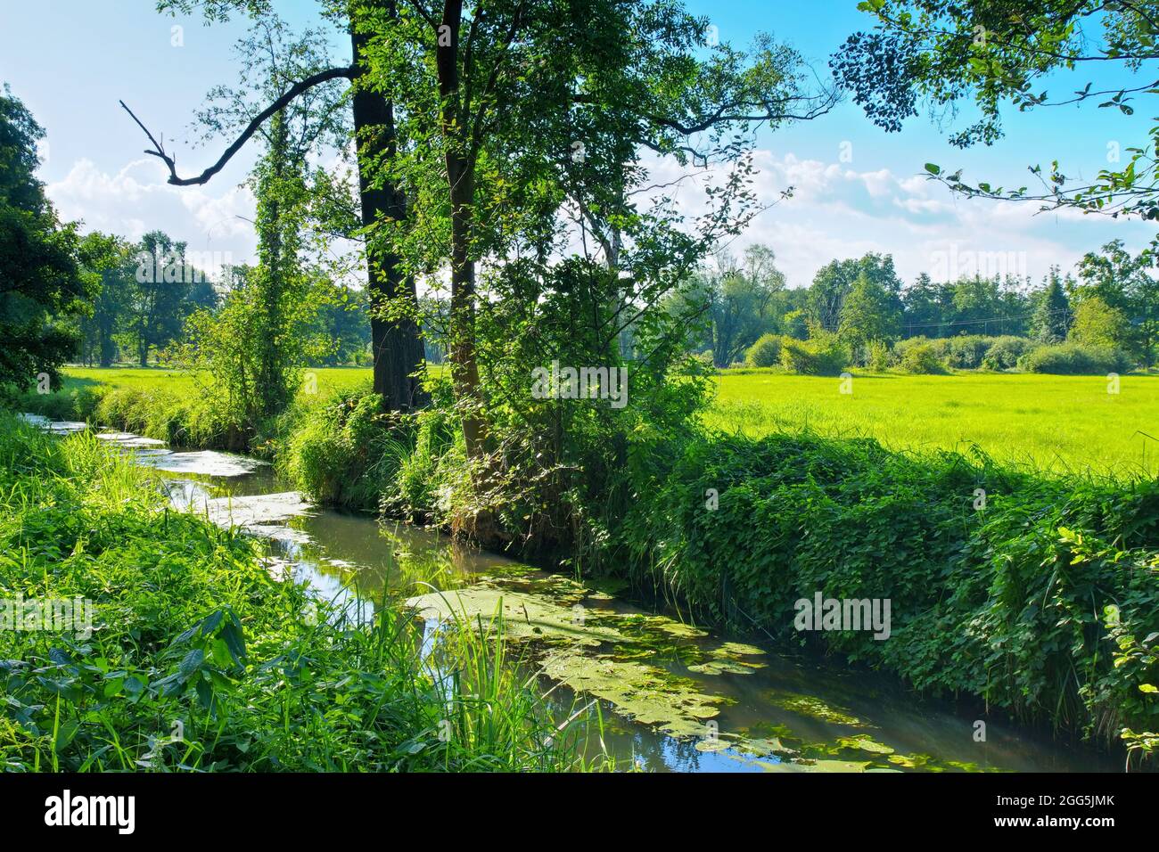 Spreewald typical hi-res stock photography and images - Alamy